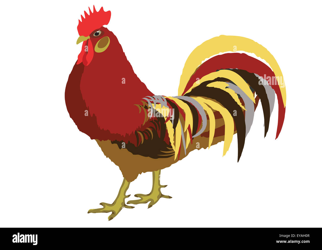 Rooster with bright feathers on the tail and a red crest Stock Photo ...