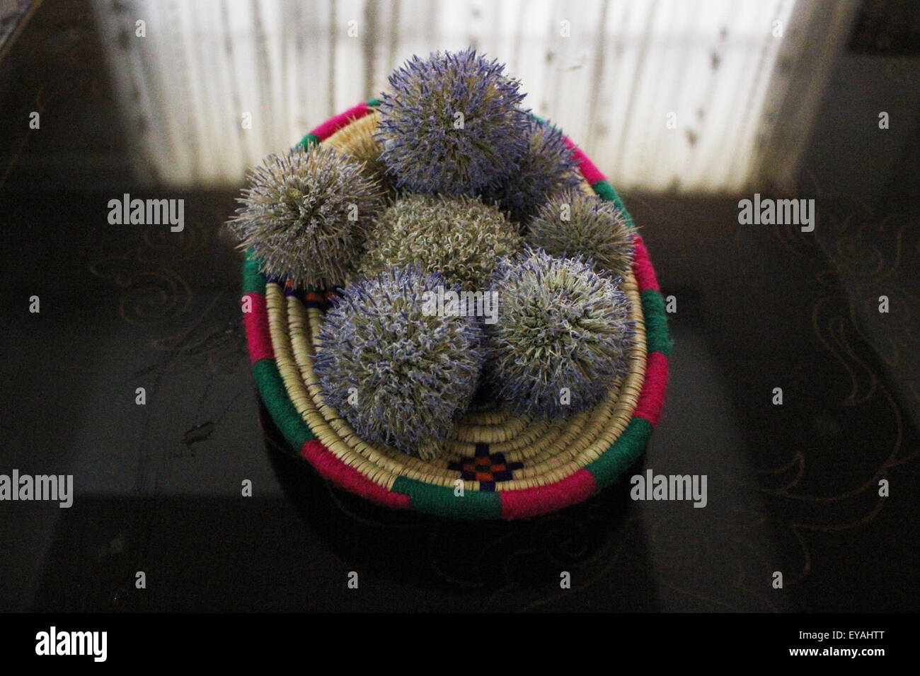 Cactus flowers within Wicker Stock Photo - Alamy