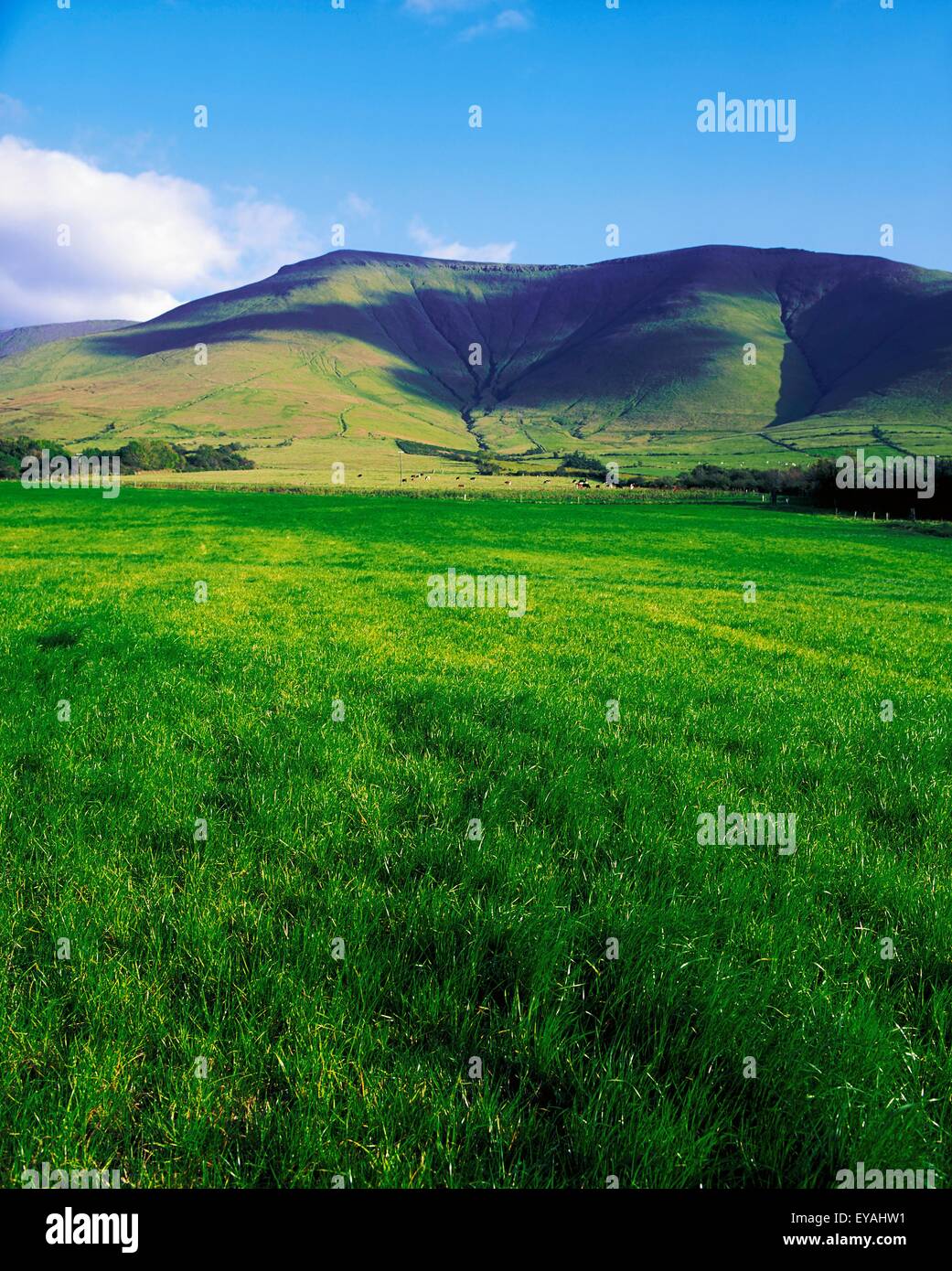 Galtee Mountains, Co Tipperary, Ireland; Landscape Near Anglesborough ...