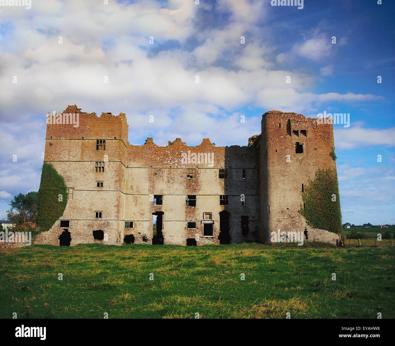 Loughmoe Castle, Co Tipperary, Ireland; Ancestral Home Of The Purcell ...