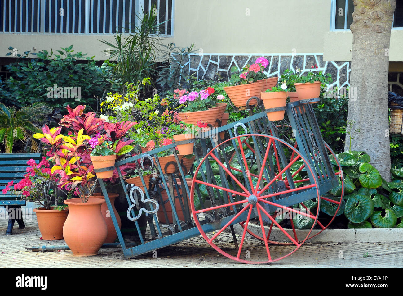 Wagon and Plants Stock Photo - Alamy