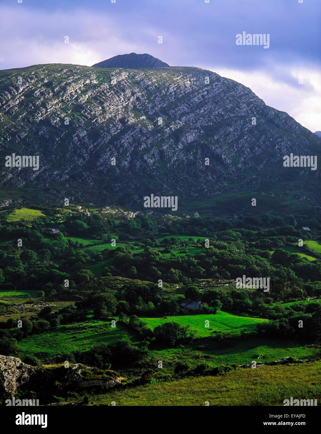 Co Cork, Ireland; Landscape Near Glengarriff Stock Photo - Alamy