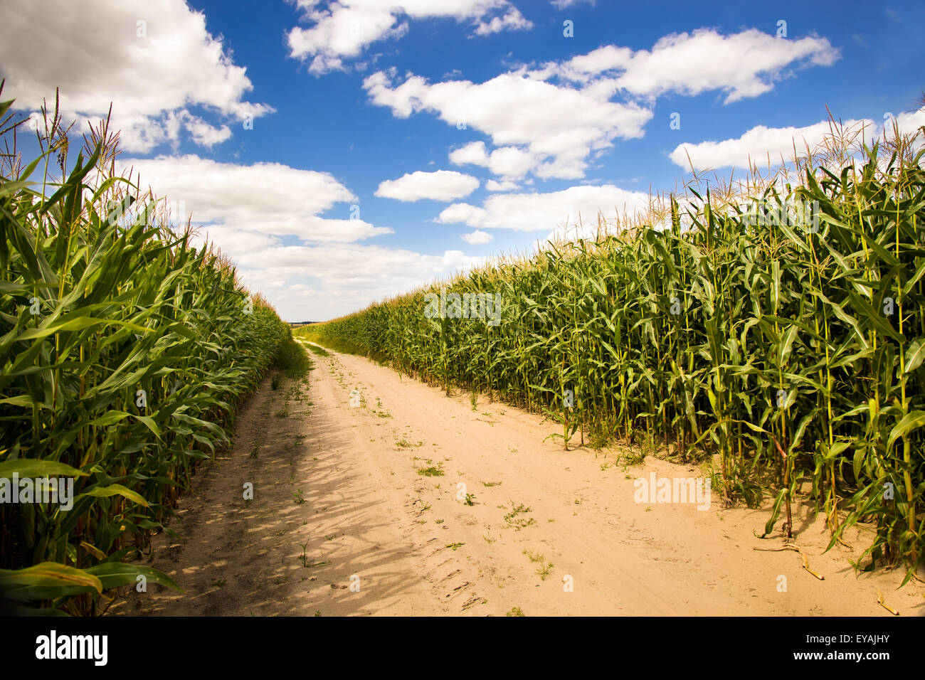 not paved rural road Stock Photo - Alamy