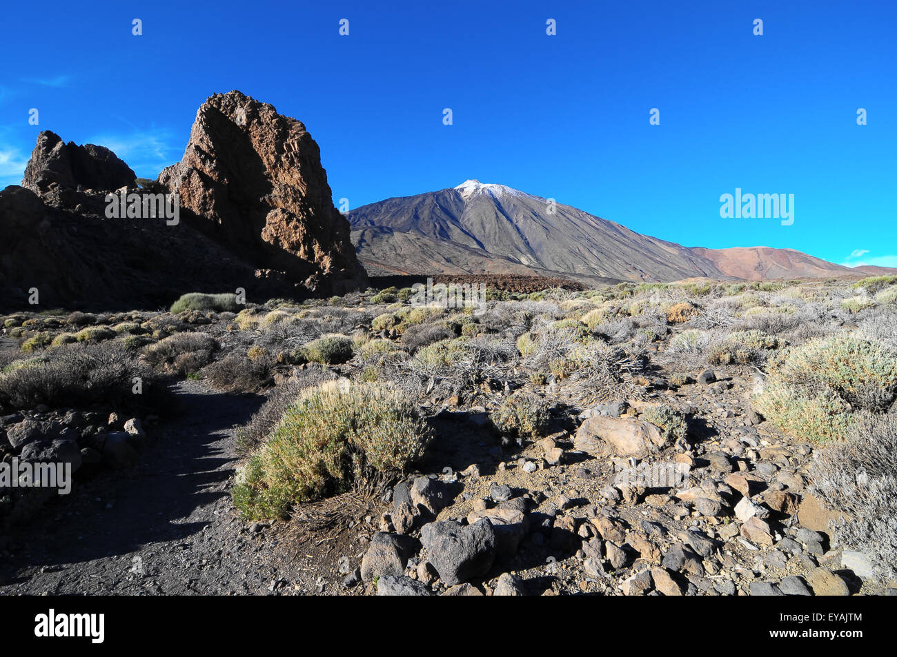 Desert isl hi-res stock photography and images - Alamy