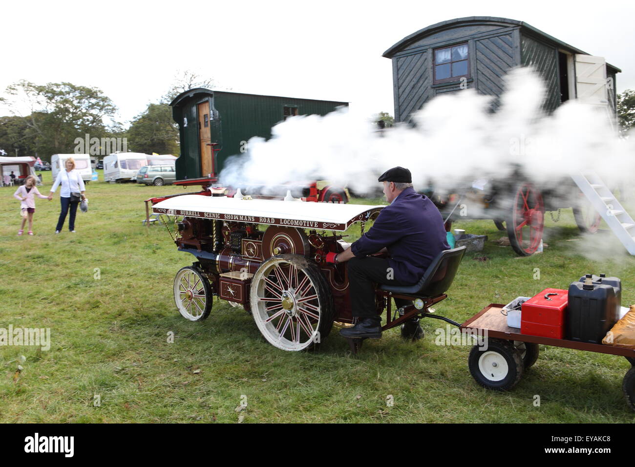 Boconnoc Estate Near Lostwithiel, Cornwall, July 25, 2015. The Boconnoc ...