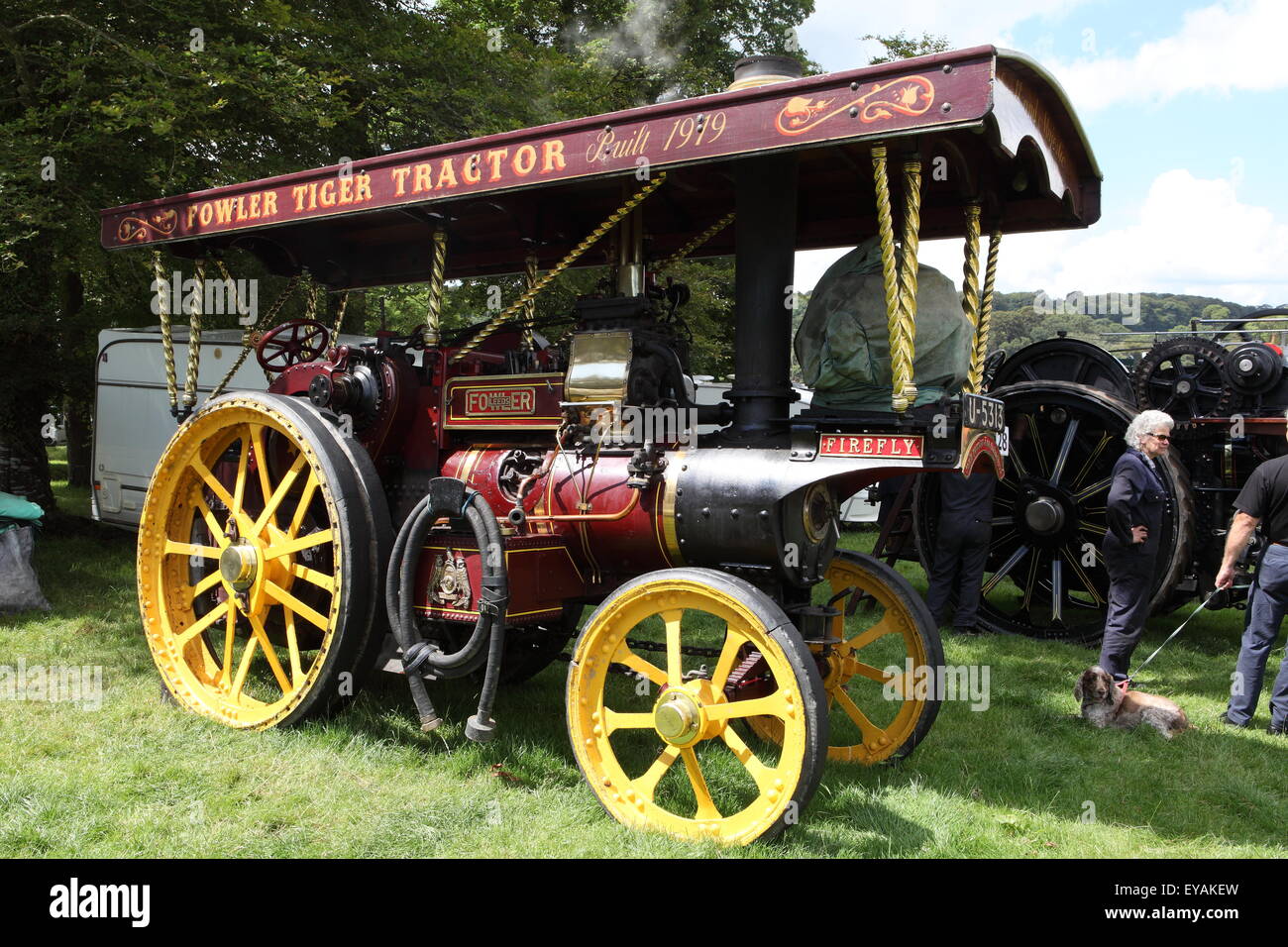 Boconnoc Estate Near Lostwithiel, Cornwall, July 25, 2015. The Boconnoc ...