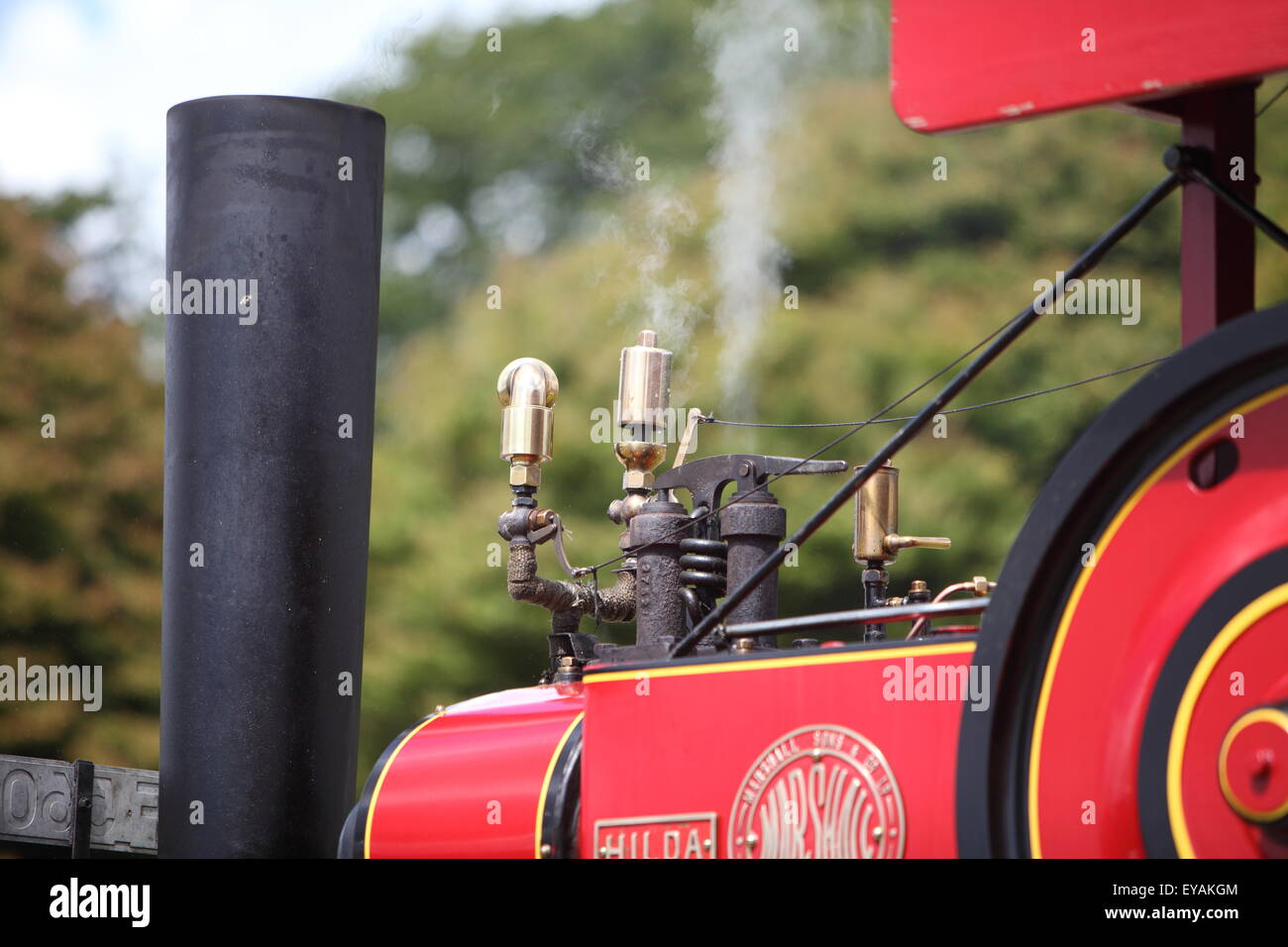 Boconnoc Estate Near Lostwithiel, Cornwall, July 25, 2015. The Boconnoc ...