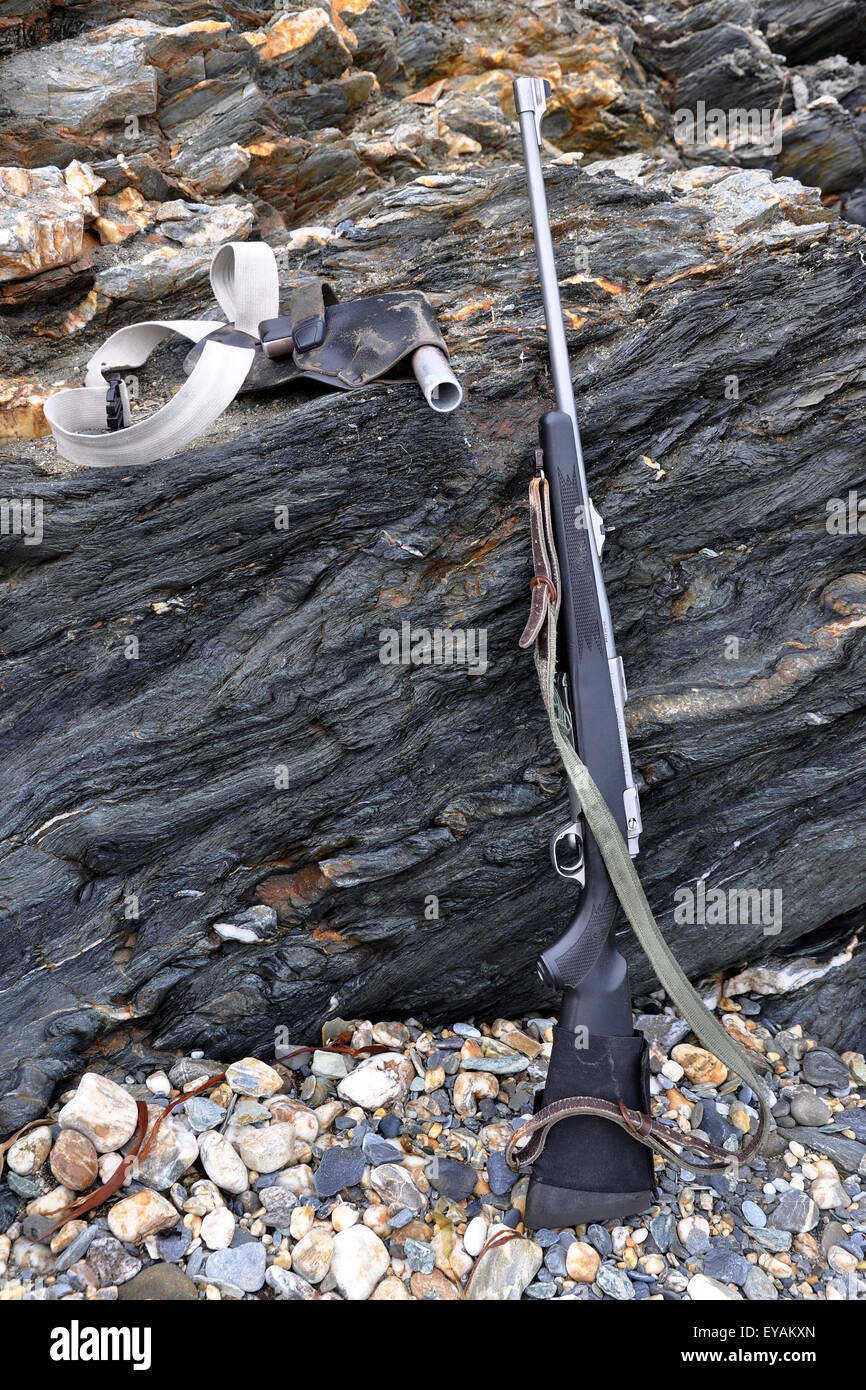 Norway, Svalbard islands, Spitsbergen island, gun Stock Photo - Alamy