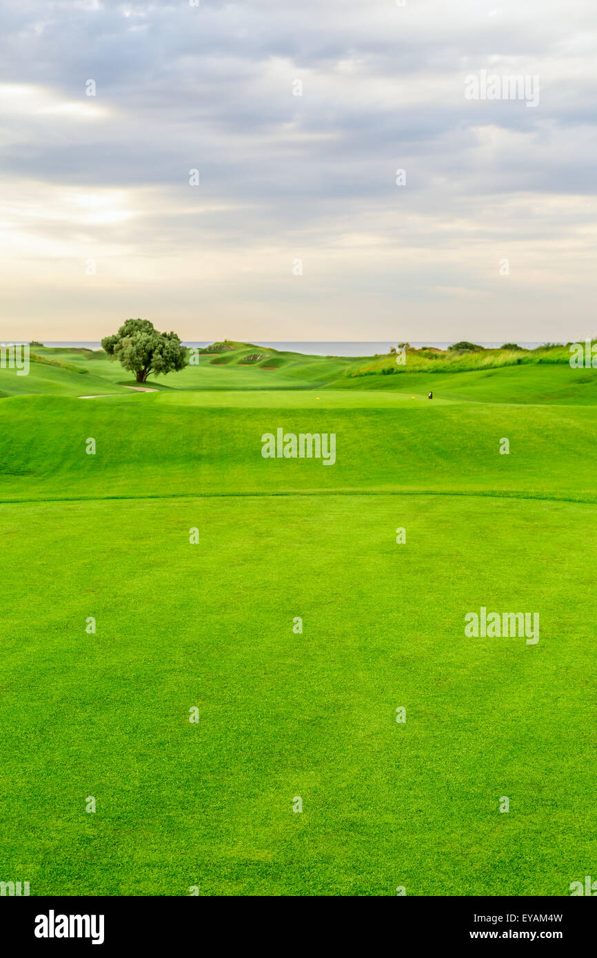 Course grass hi-res stock photography and images - Alamy