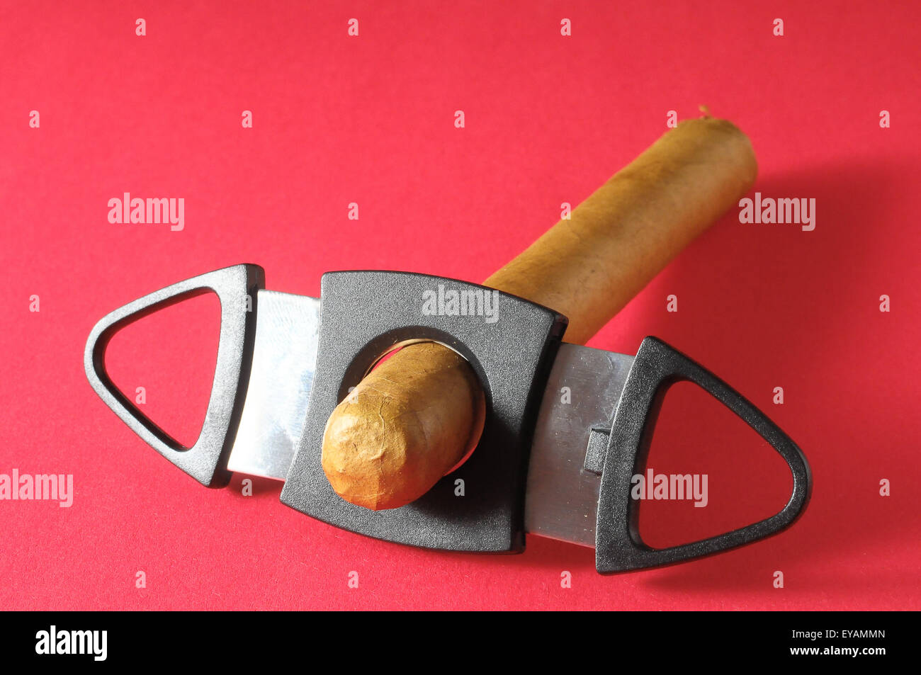 Cuban Brown Havan Cigar Stock Photo - Alamy
