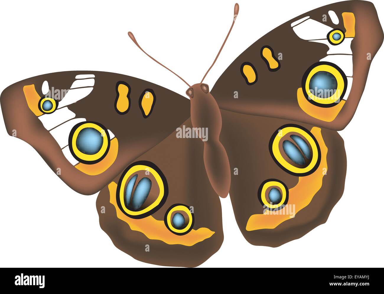 Full detailed brown vector butterfly Stock Vector Image & Art - Alamy