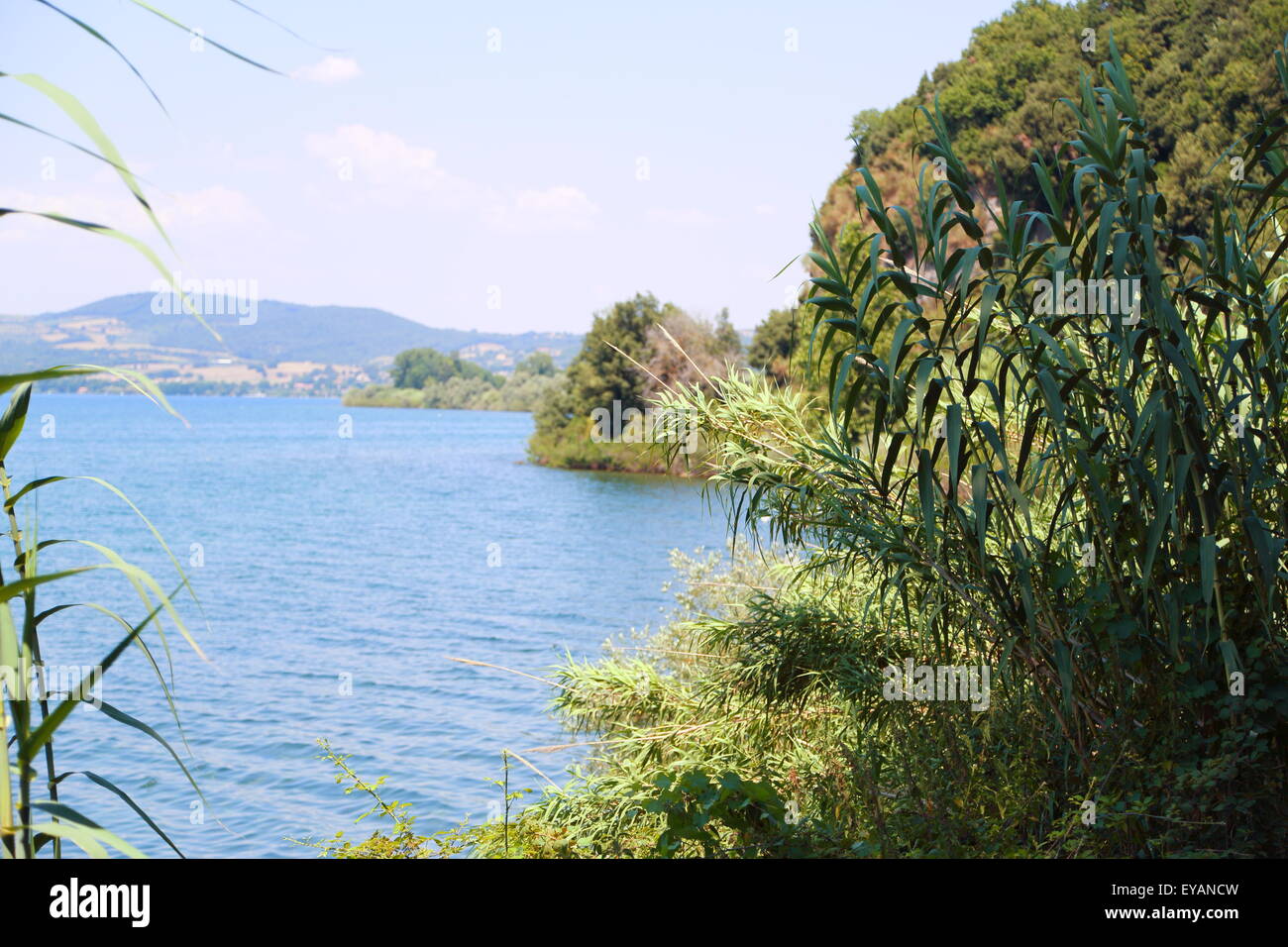 View of the lake from the shore Stock Photo - Alamy