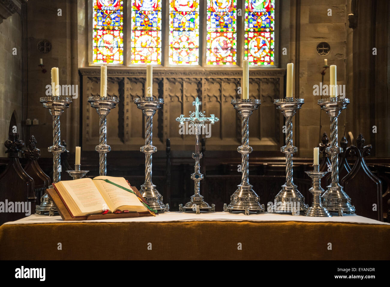 Pugins High Resolution Stock Photography and Images - Alamy