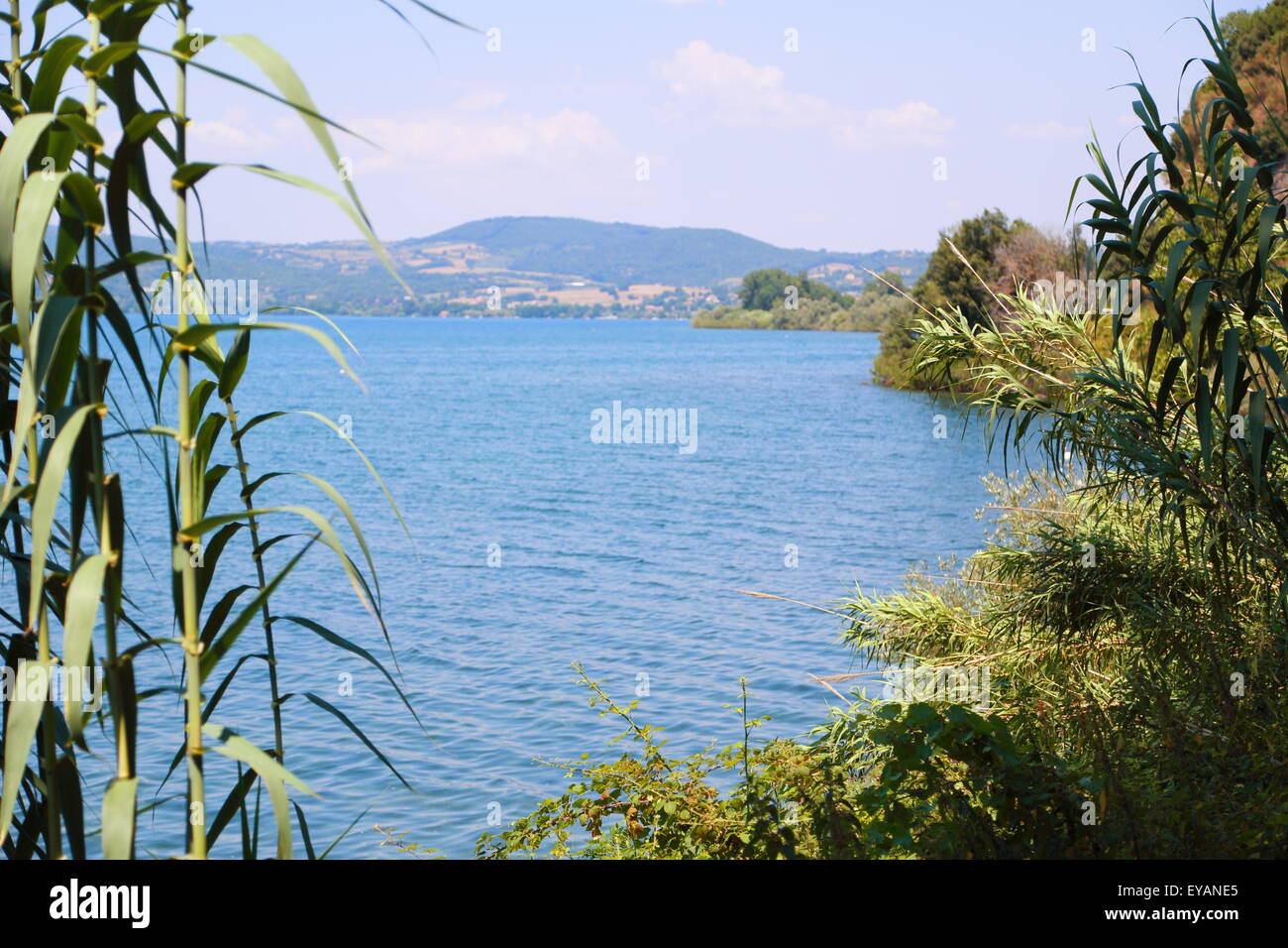 View of the lake from the shore Stock Photo - Alamy