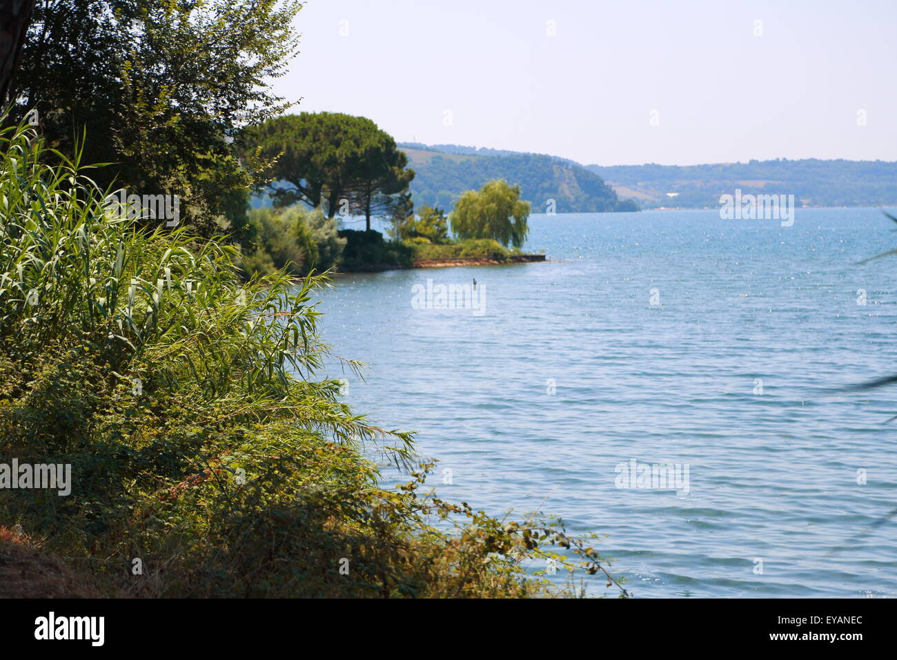 View of the lake from the shore Stock Photo - Alamy