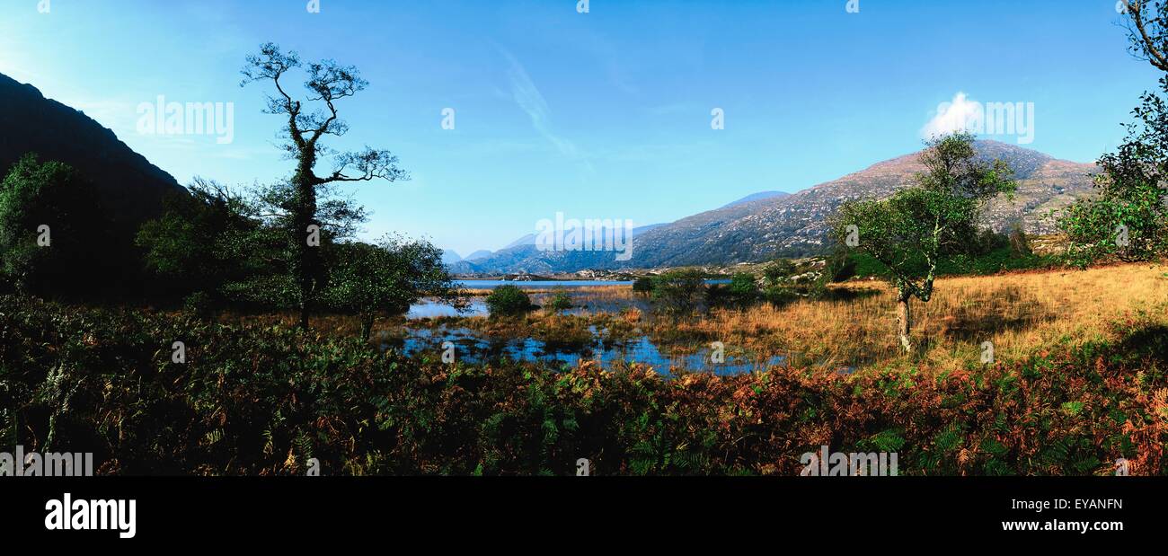 Killarney National Park, Ring Of Kerry, Co Kerry, Ireland; Unesco World ...