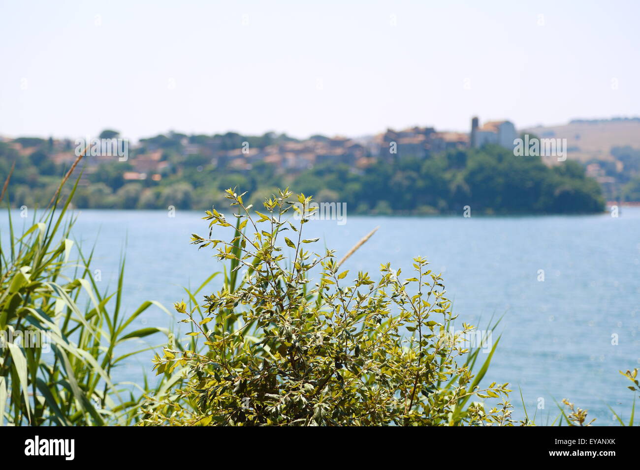 View of the lake from the shore Stock Photo - Alamy