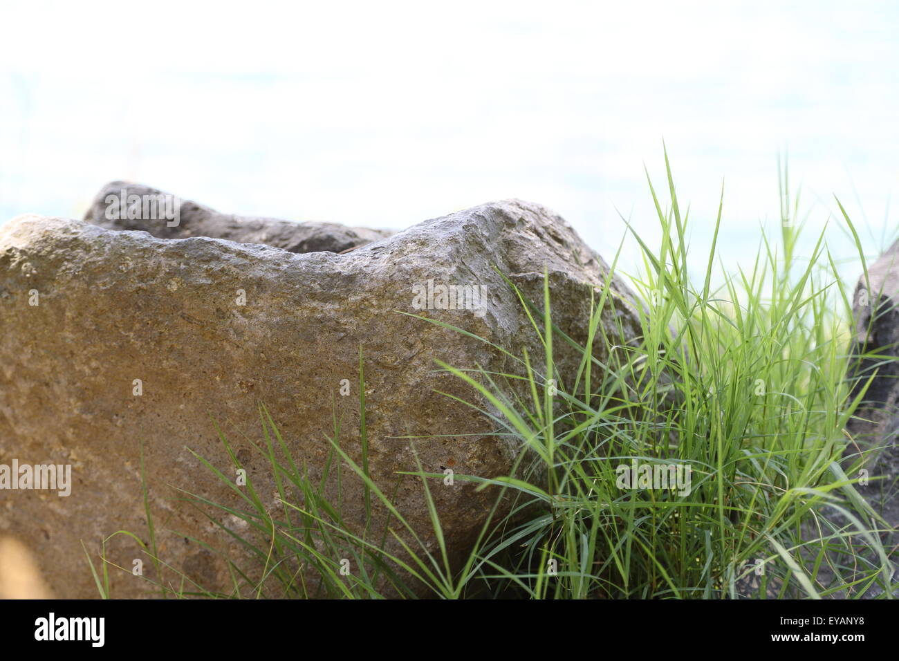 Rocks in foreground, Lake Albano, in the province of Rome, Italy Stock ...
