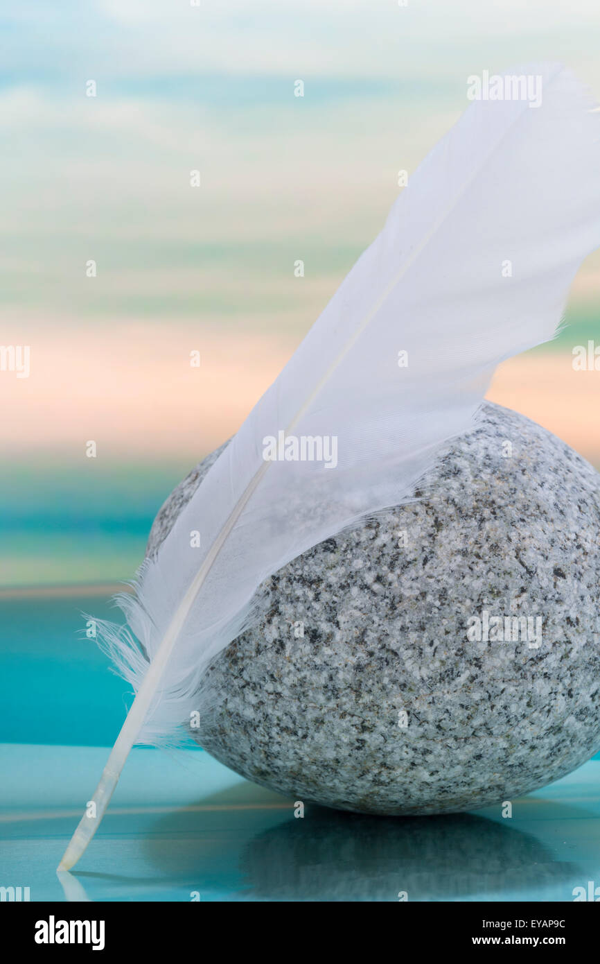 White feather resting on a rock Stock Photo - Alamy