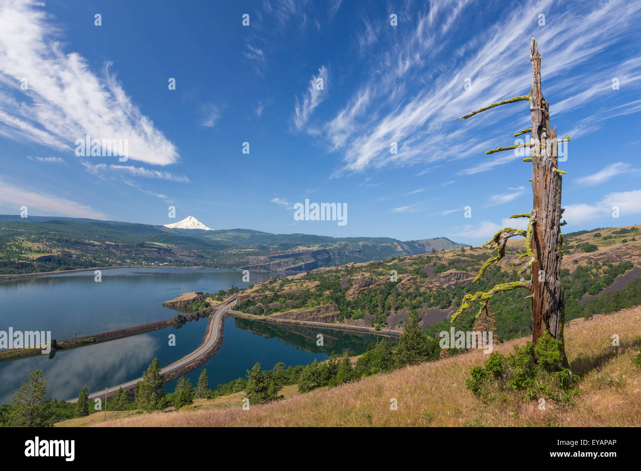 Columbia gorge river mount hood road hi-res stock photography and ...