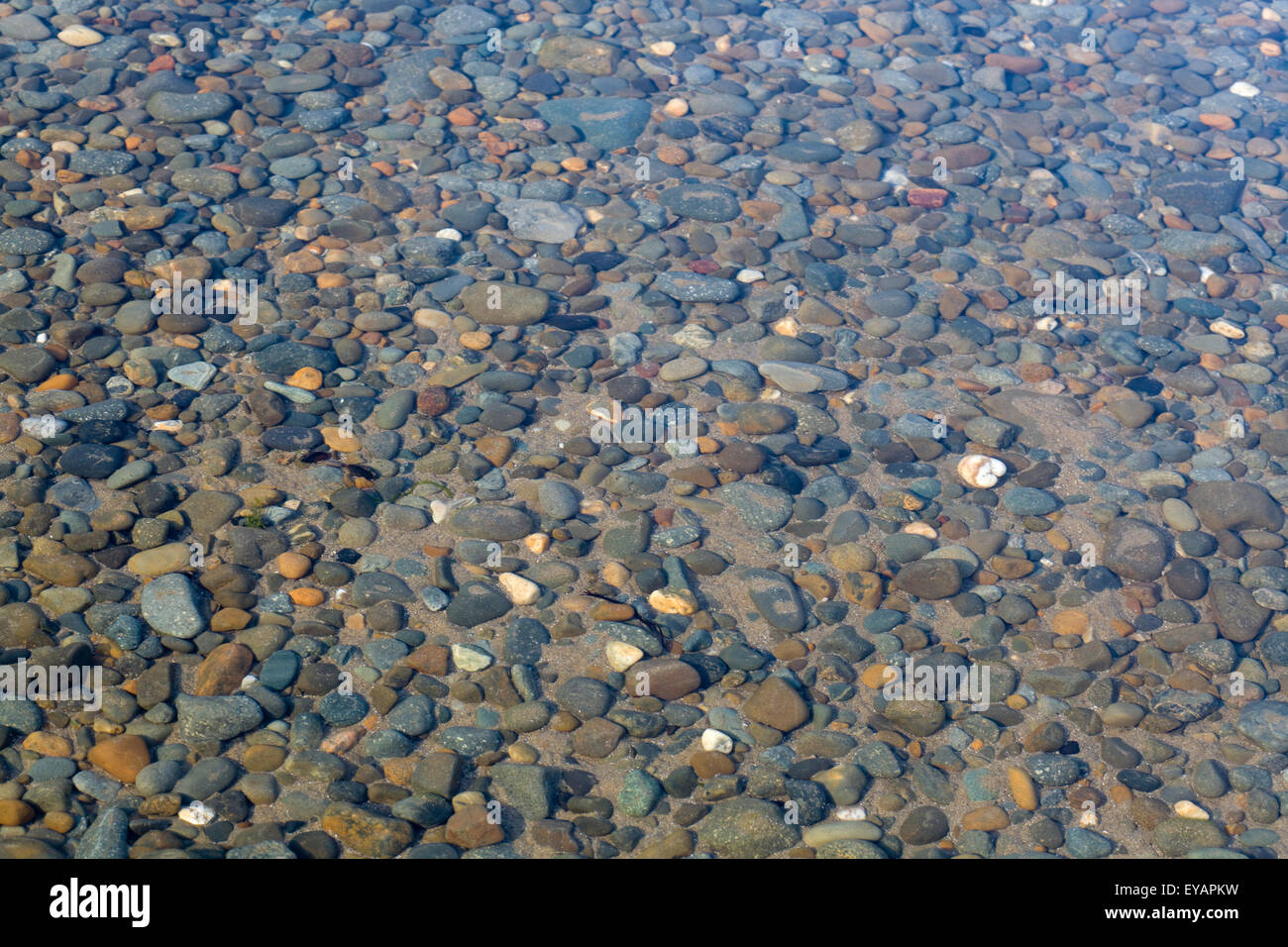Multicoloured sea pebbles on the beach under a layer of transparent ...
