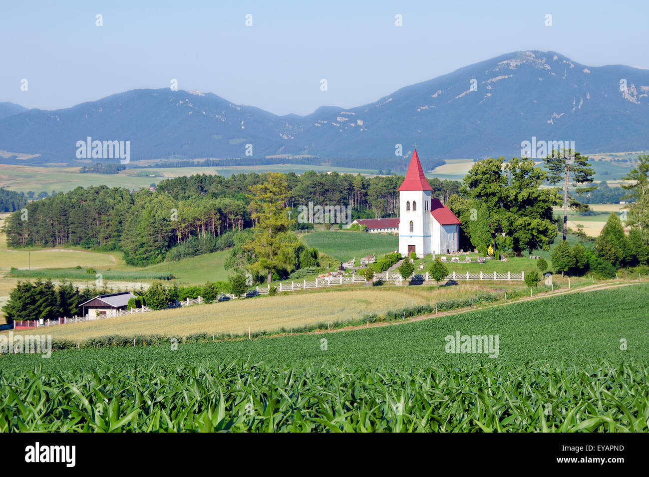 The landscape in Turiec, Slovakia Stock Photo - Alamy