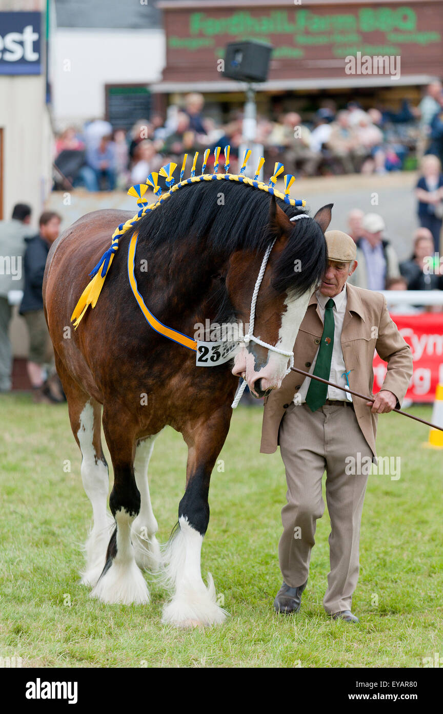 Welsh shires hi-res stock photography and images - Alamy