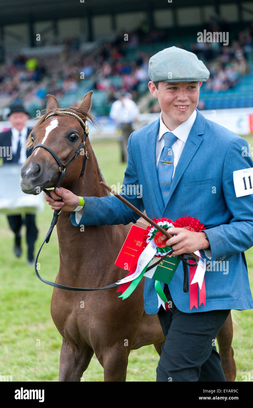 Llanelwedd, Powys, UK. 23rd July 2015. Royal Welsh Horse Young Handler ...