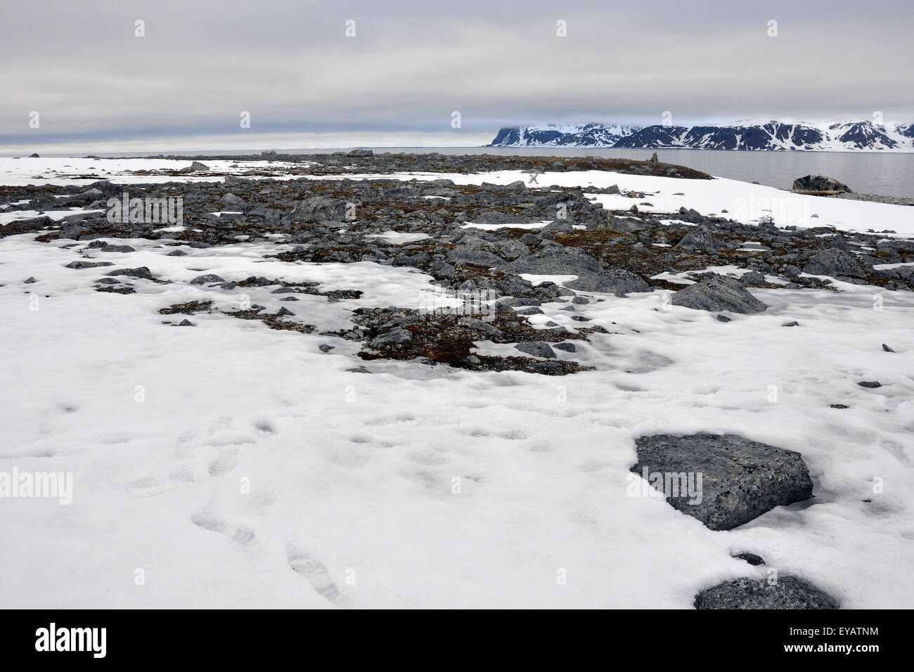 Norway, Svalbard islands, Spitsbergen island Stock Photo - Alamy