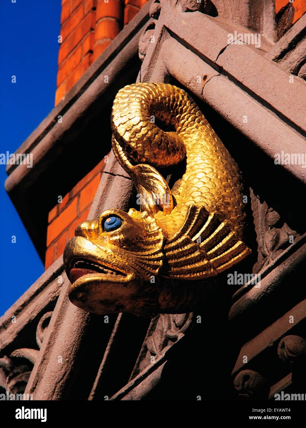 Dolphin House, Temple Bar, Dublin, Co Dublin, Ireland Stock Photo - Alamy