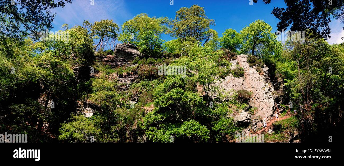 Roe valley river hi-res stock photography and images - Alamy