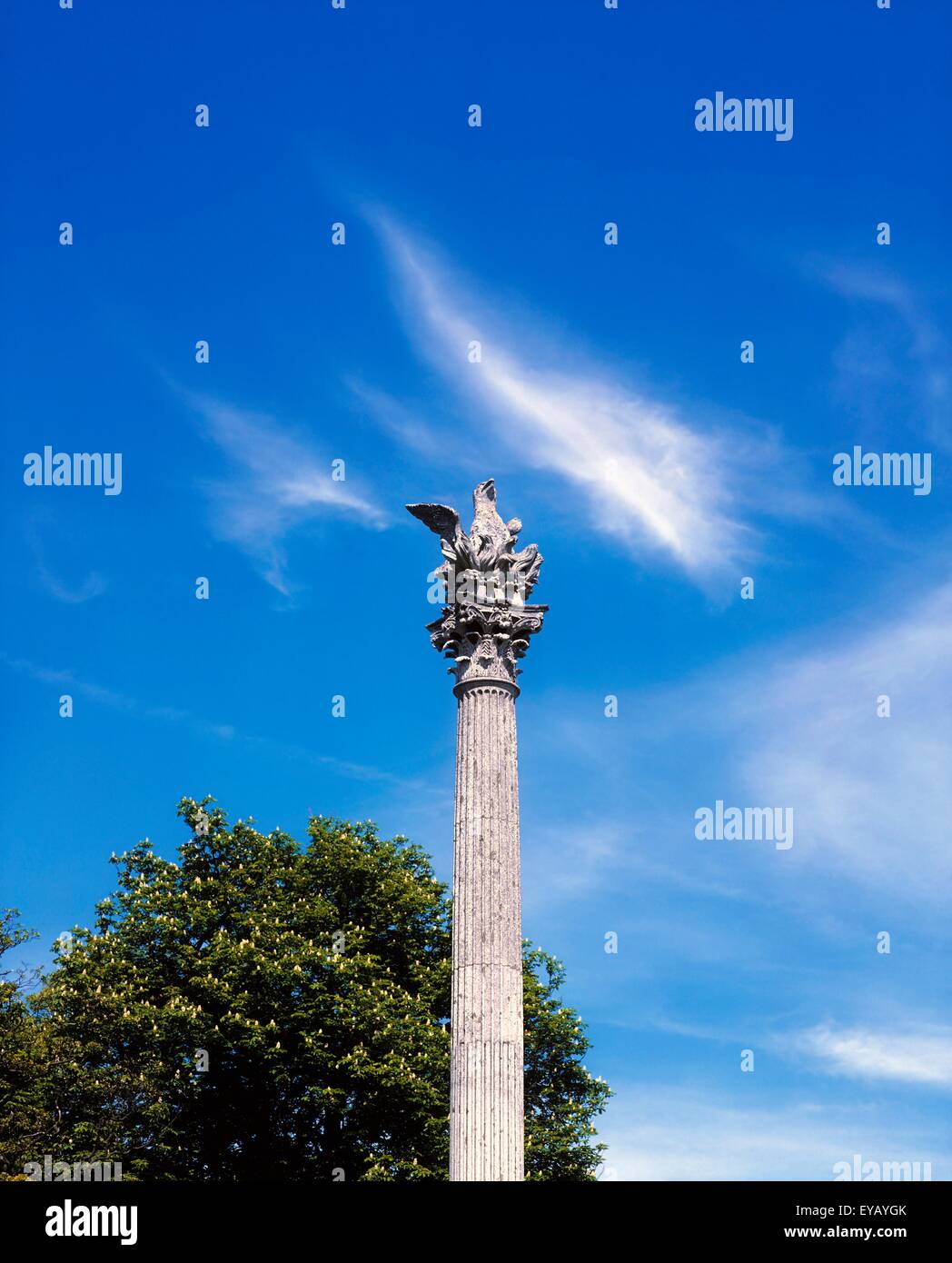 Phoenix Monument, Phoenix Park, Dublin, Co Dublin, Ireland Stock Photo ...