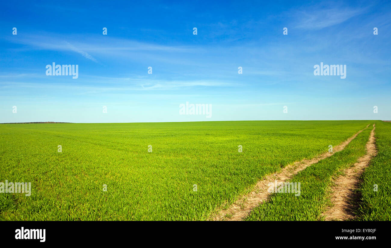 the rural road Stock Photo - Alamy