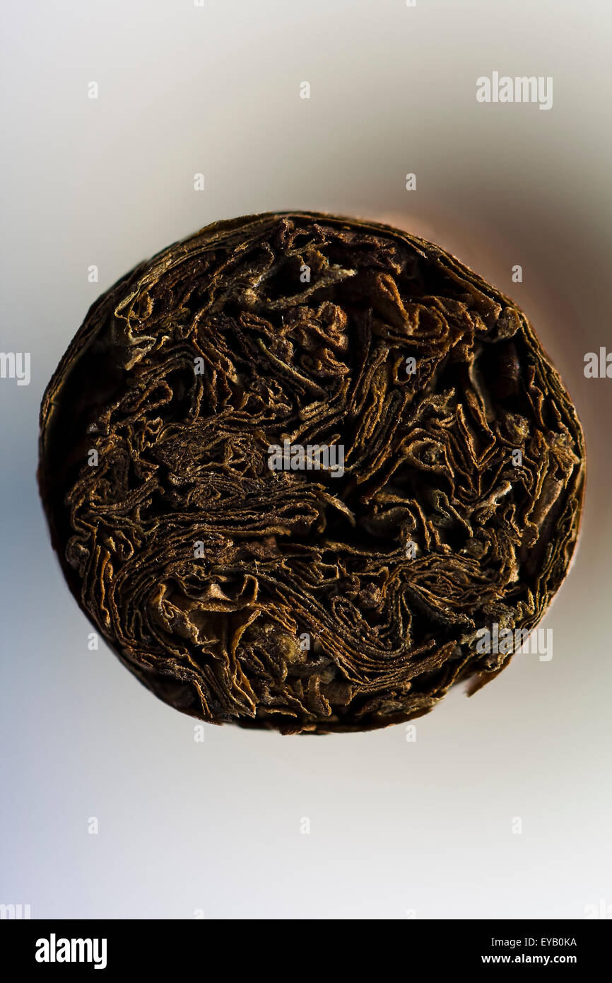 Pack cigarettes on light hi-res stock photography and images - Alamy