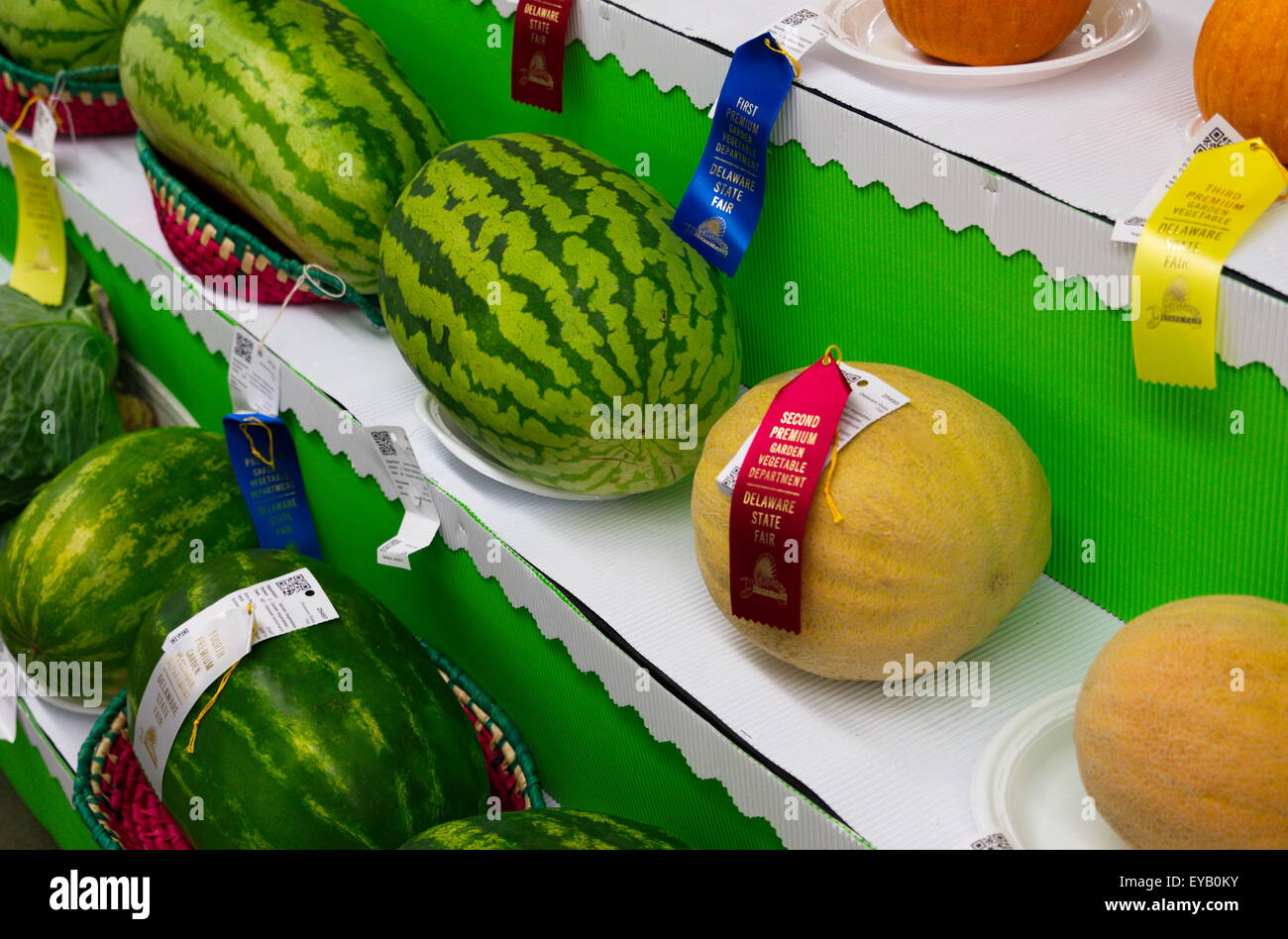 Prize Winning Melons Stock Photo - Alamy