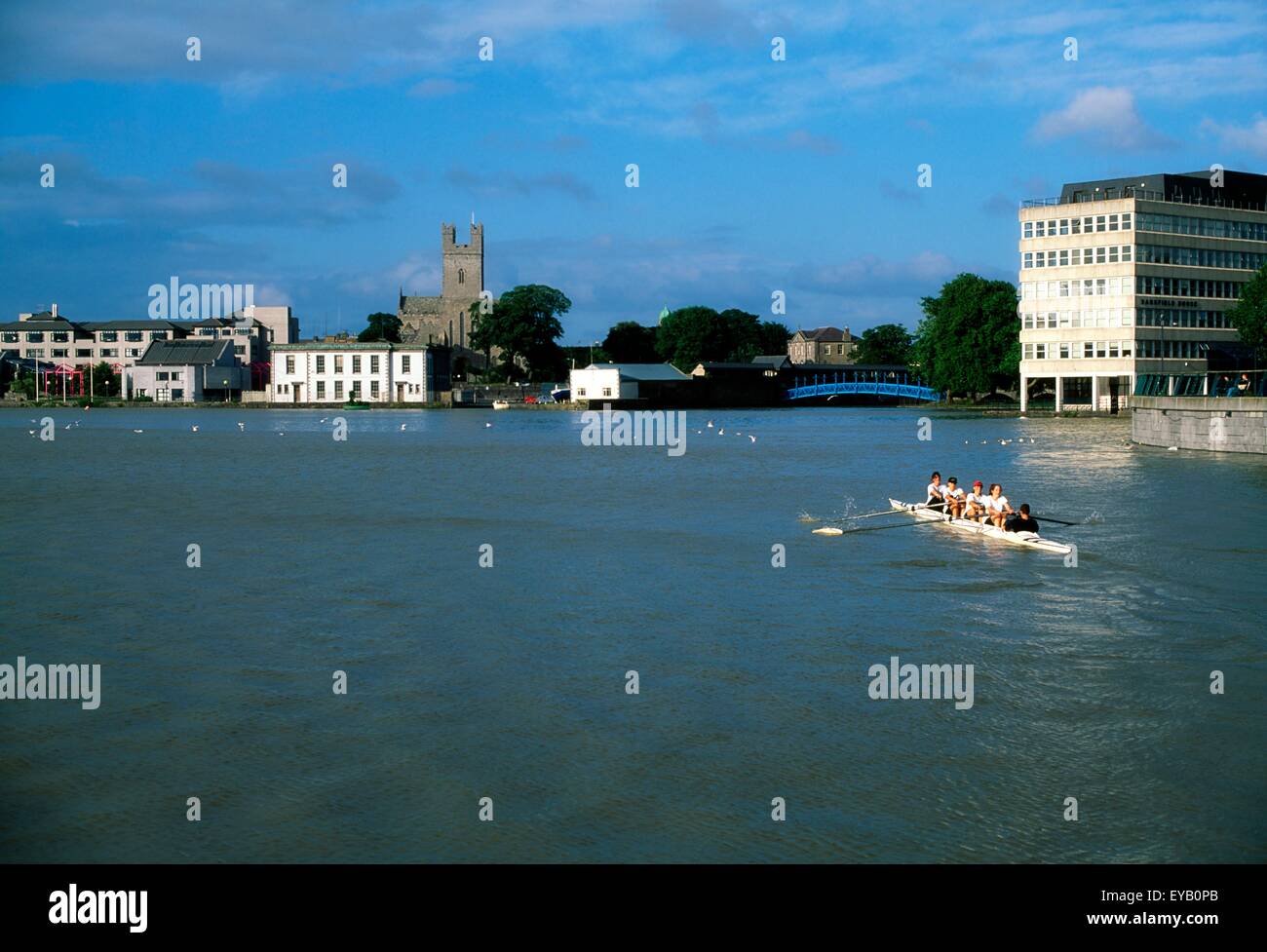 Limerick, River Shannon, Co Limerick, Ireland; Rowers On The River ...
