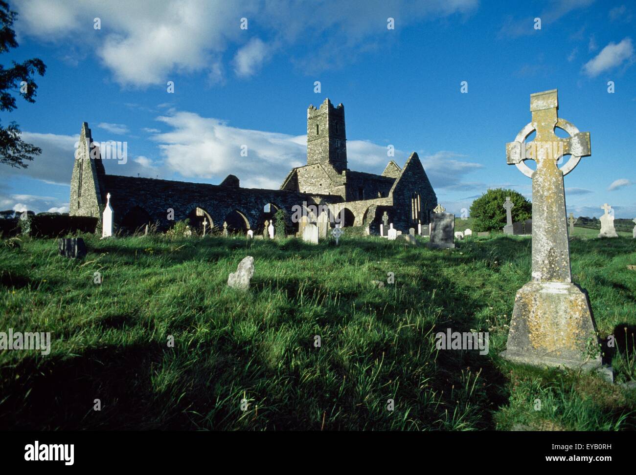Timoleague Abbey, Co Cork, Ireland; 13Th Century Franciscan Abbey Stock ...