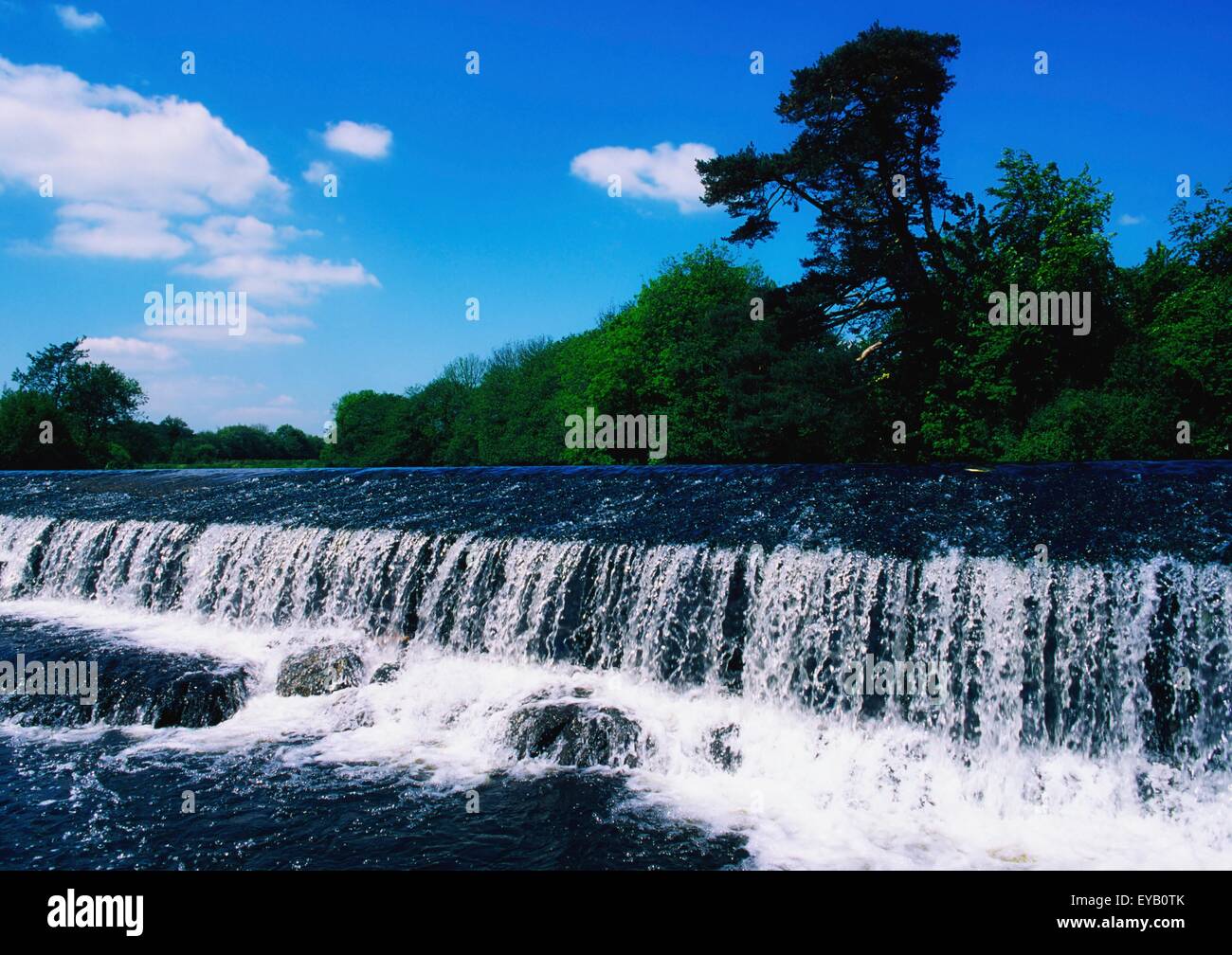 River Bandon, Co Cork, Ireland; Flowing River In Ireland Stock Photo ...