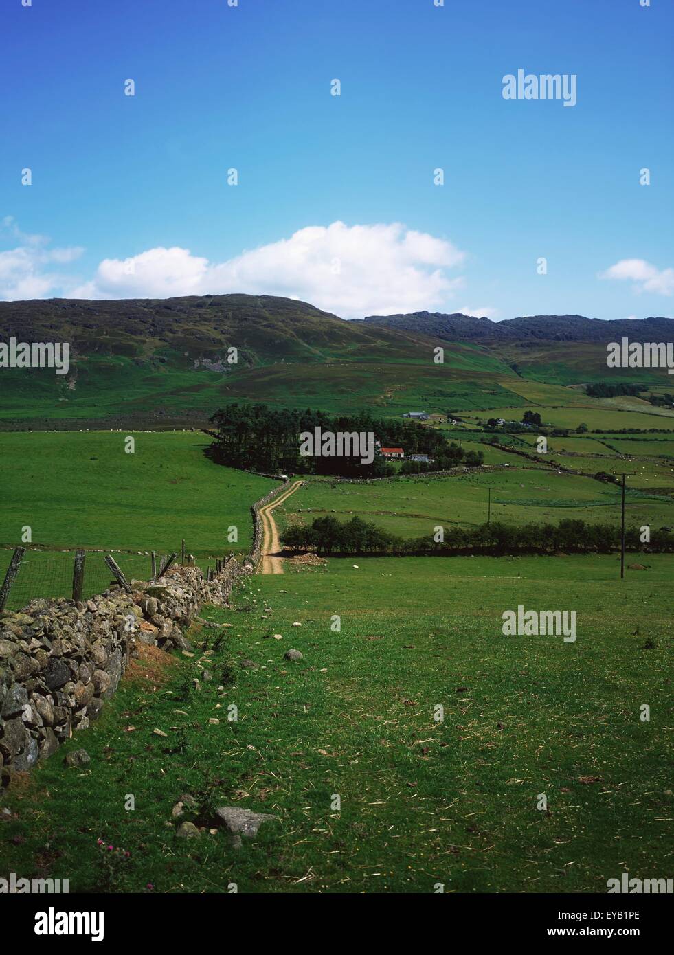 Cooley Peninsula, Co Louth, Ireland Stock Photo - Alamy