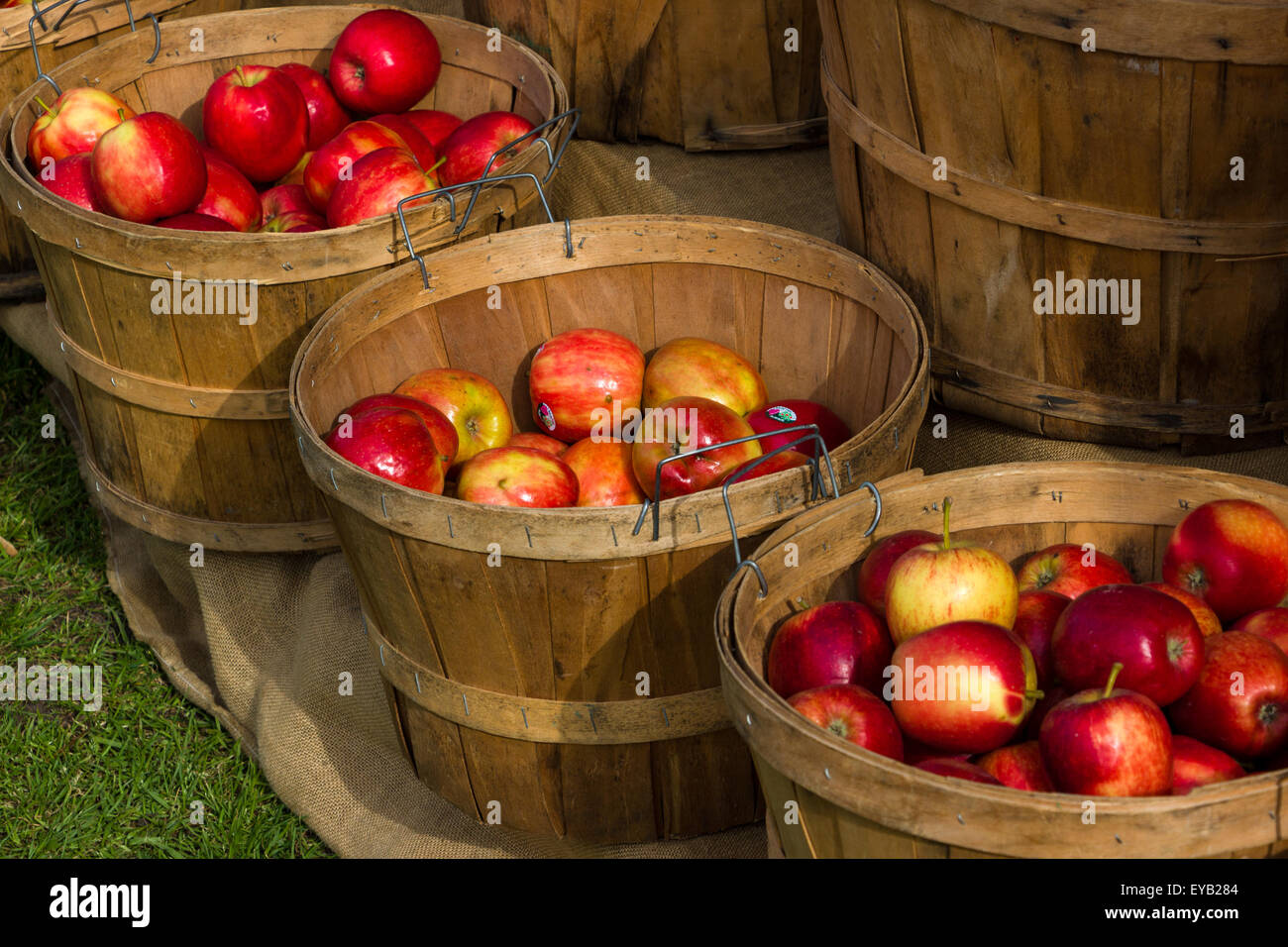 Wooden buckets of fresh red apples taken at a community Market Stock ...