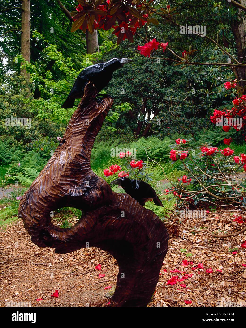 Fernhill Gardens, Co Dublin, Ireland; Raven Sculpture Stock Photo - Alamy