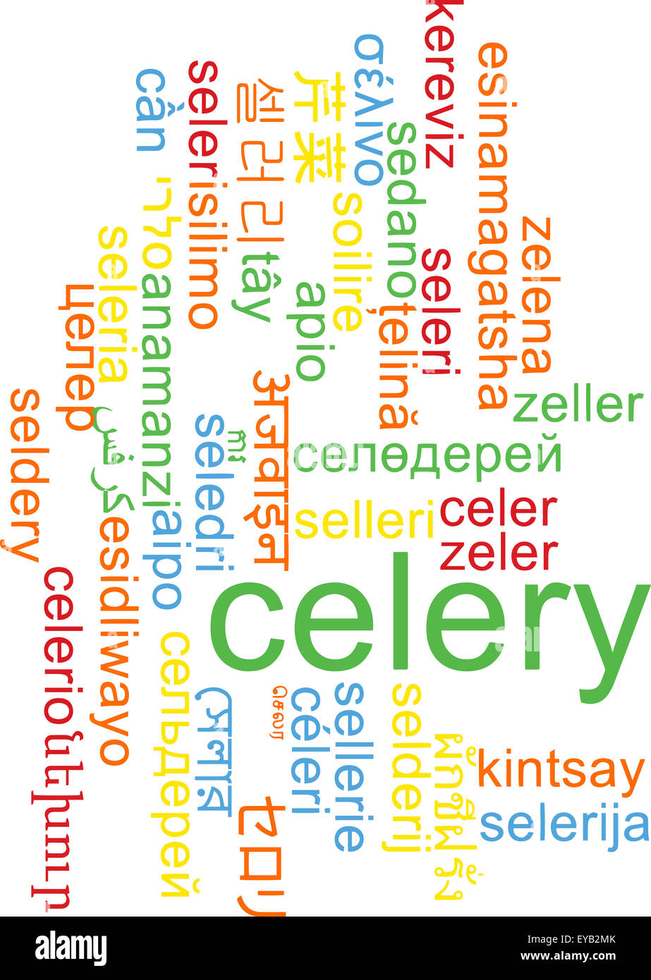 Word celery hi-res stock photography and images - Alamy