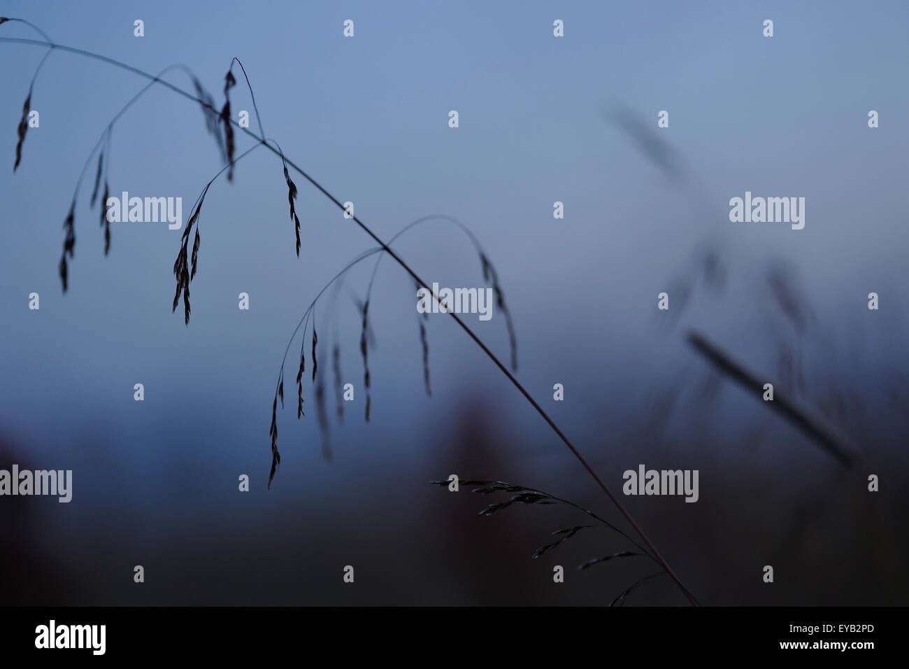 Dusk shadows hi-res stock photography and images - Alamy