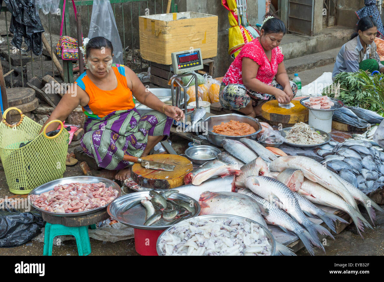Fish stall on street market in Yangon (Rangoon), Myanmar (Burma Stock ...