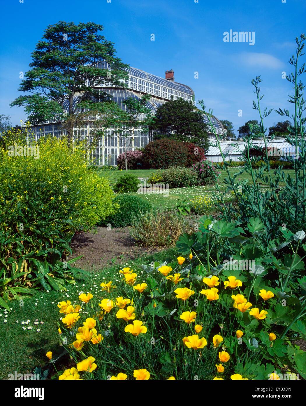 Palm House, Irish National Botanic Gardens, Co Dublin, Ireland Stock ...