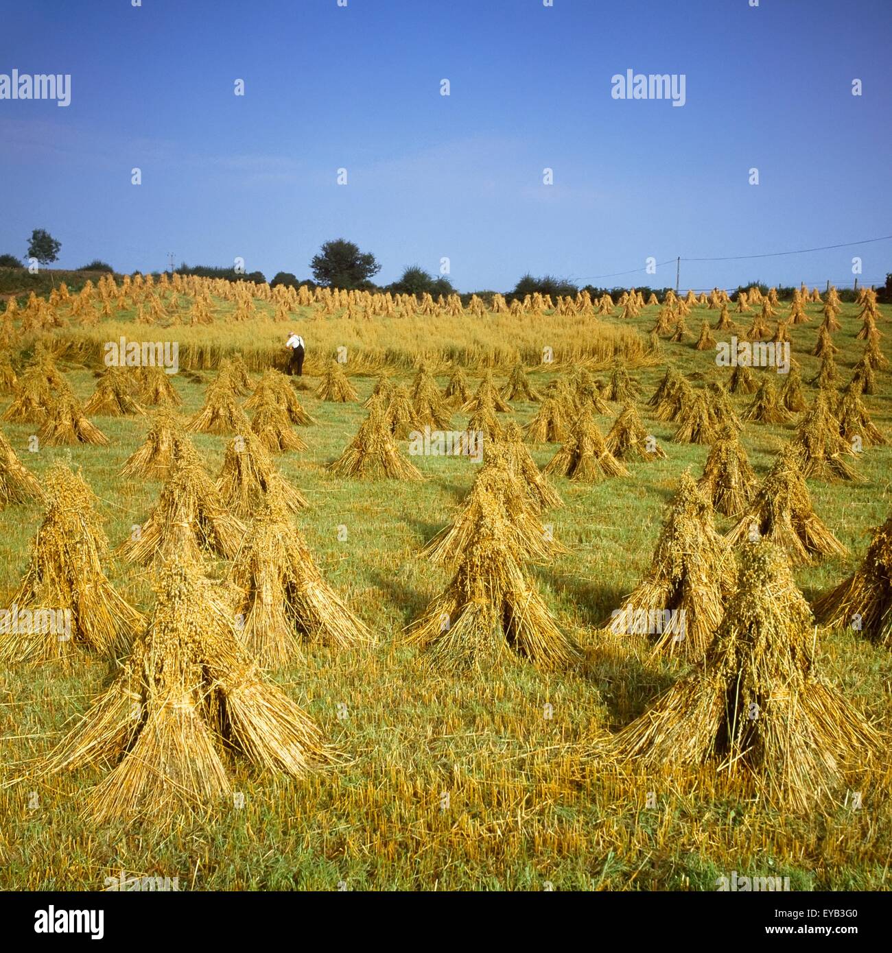 The haystacks hi-res stock photography and images - Alamy