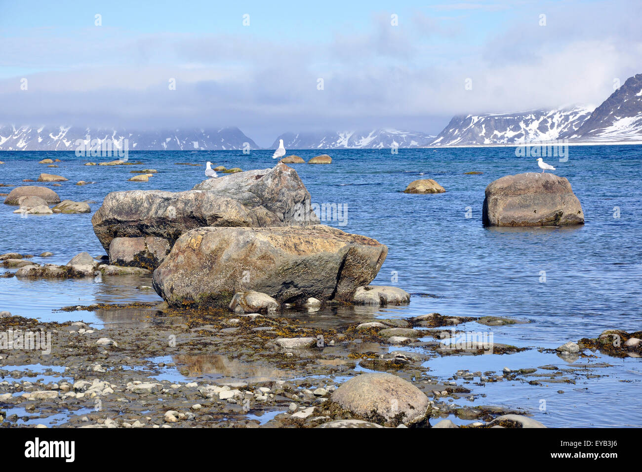 Norway, Svalbard islands, Spitsbergen island Stock Photo - Alamy