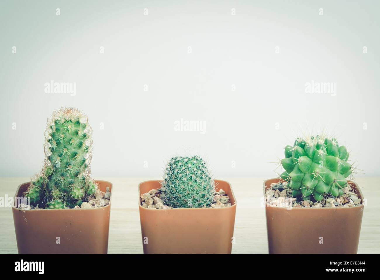 Three tone flower hi-res stock photography and images - Alamy
