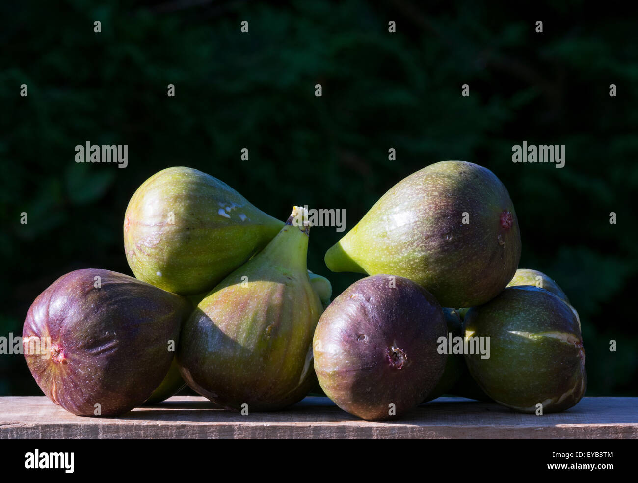 Figs ripe hi-res stock photography and images - Alamy