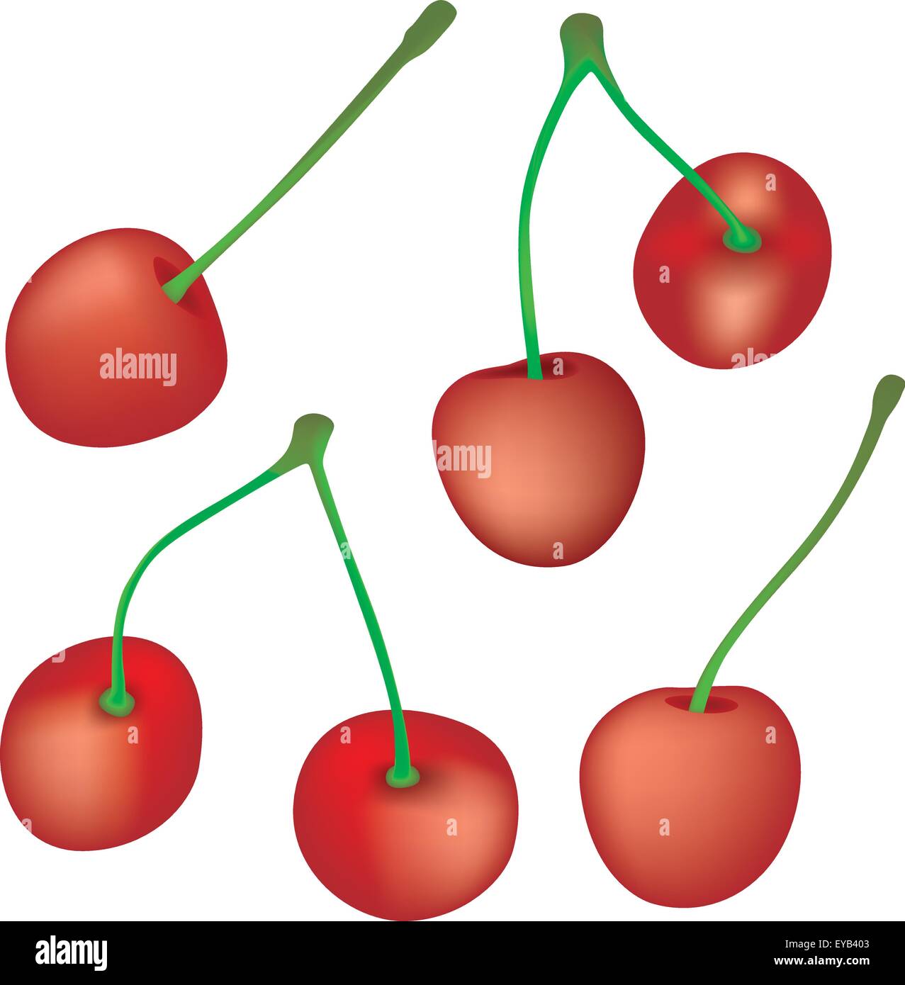 Sweet cherry Stock Vector Images - Alamy